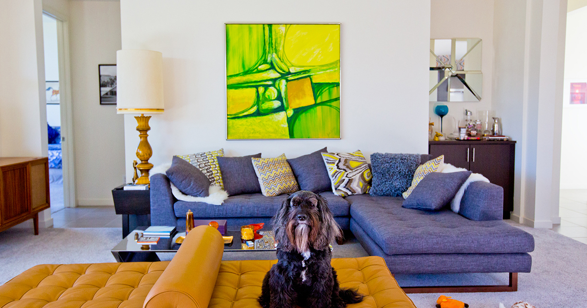 Nancy Baron | Palm Springs: Modern Dogs at Home - FAR