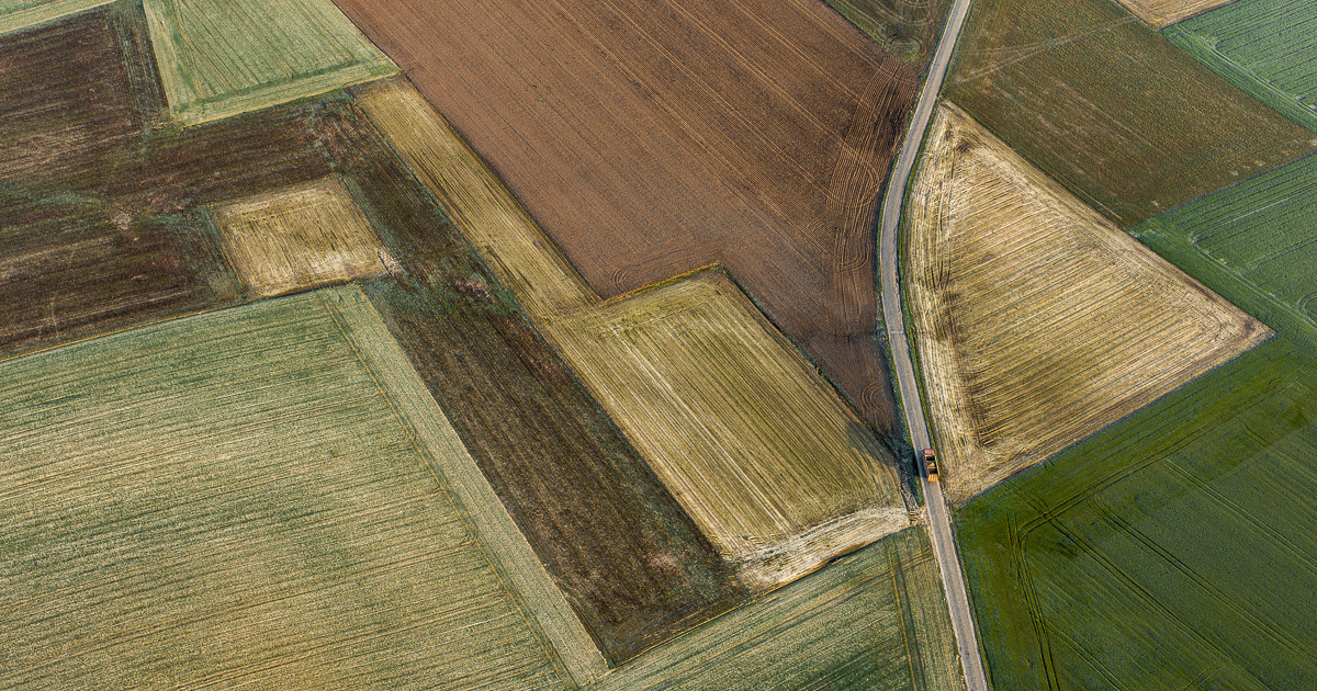 Single Image Crush | Jamey Stillings - FAR